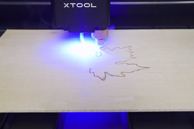 Holz lasern mit dem xTool M1 – So geht's!